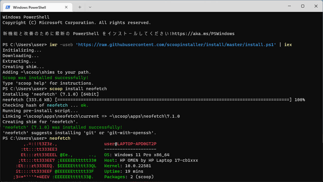 Windows PowershellにNeofetchをインストールする – Catalyst website